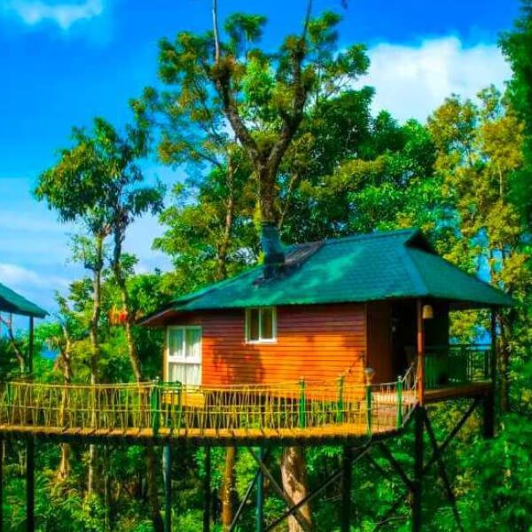 Tree Resorts Munnar - Indic Holidays